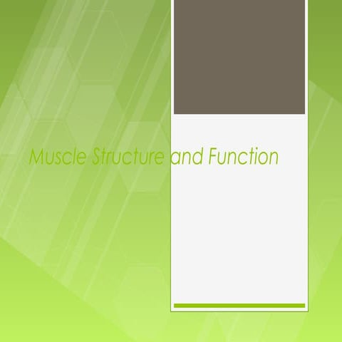 Types of Muscle Tissue | PPT