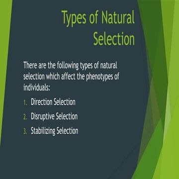 Types of Natural Selection powerpoint for bio | PPTX