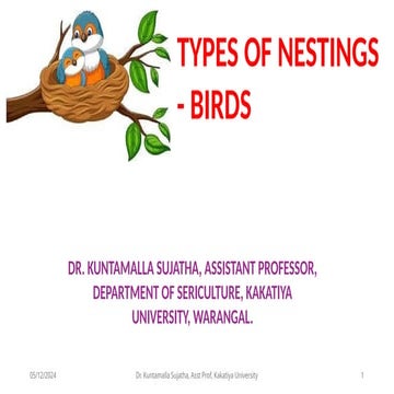 Types of nesting's - different types of nests.pptx