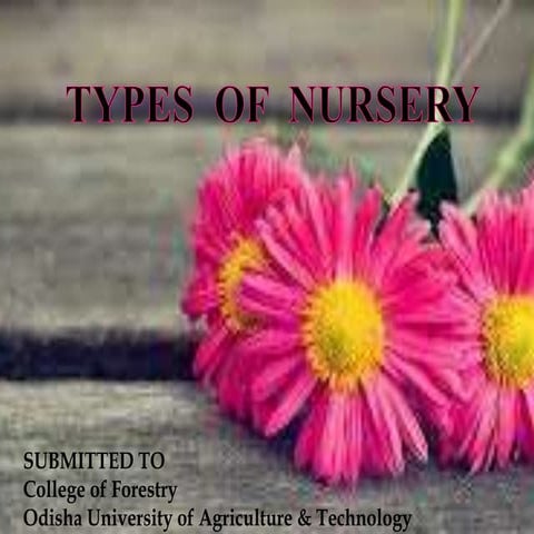 Nursery types, Structure, Components, Planning and Lay out of Nursery | PDF