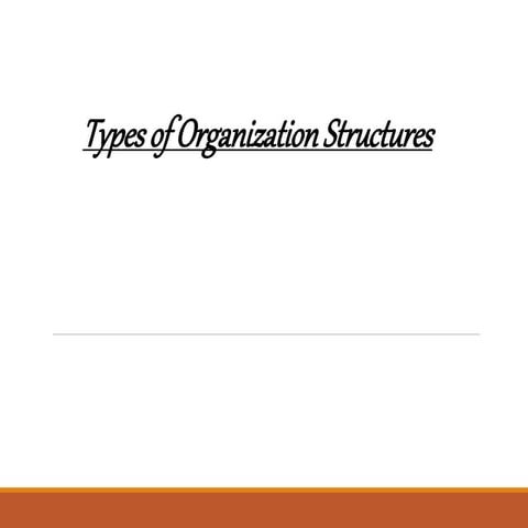 Organizational Structure