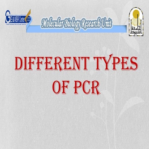 Different Types of PCR | PDF
