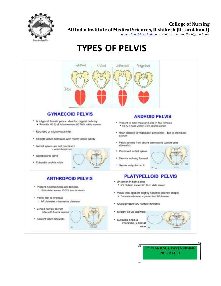Types of pelvis