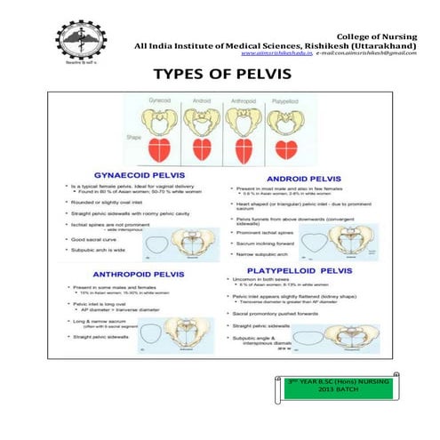 Types Of Pelvis
