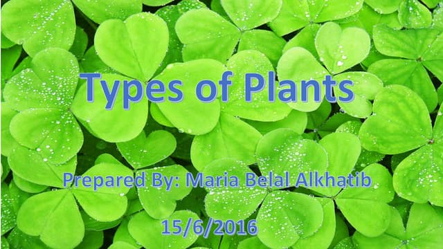 Environmental Science (EVS) : Plants Around Us (Class III) | PDF