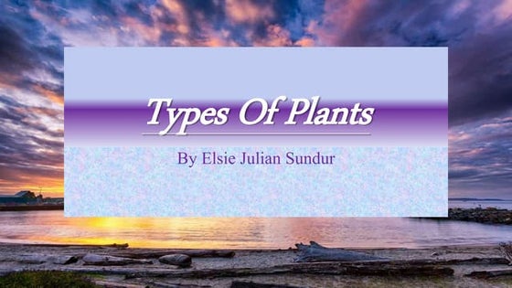 Types of Plants | PPTX
