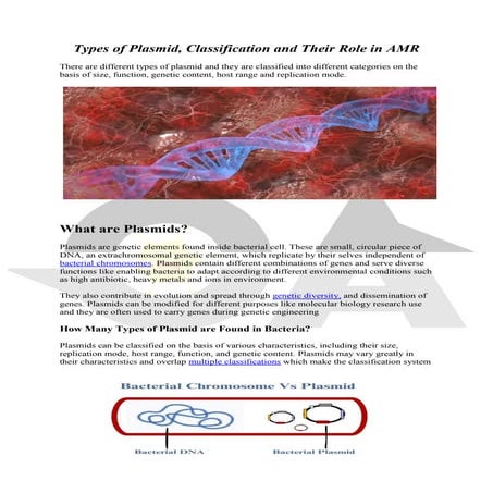 Types of Plasmid.pdf
