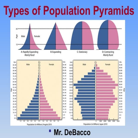 Types of population Pyramid and population.pptx