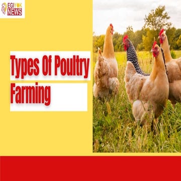 Types Of Poultry Farming in India | Egiyok News | PPT