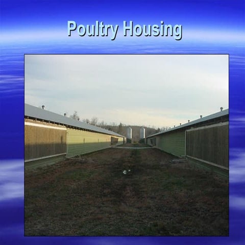 Types of Poultry Housing.ppt for poultry housing management | PPT