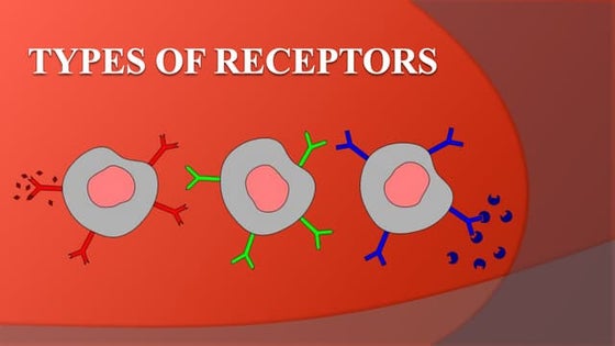 Receptor .pptx