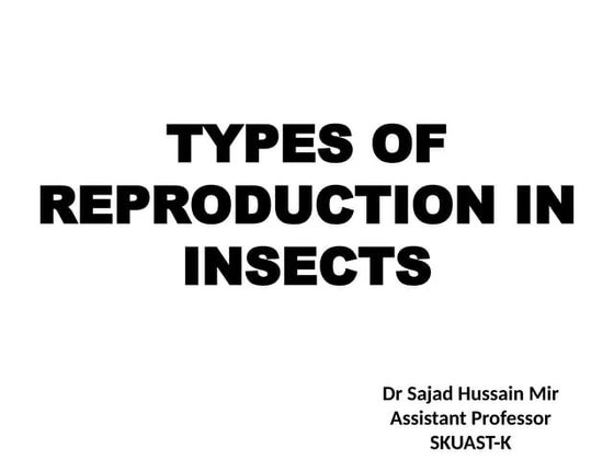 TYPES OF LARVAE AND PUPAE IN INSECTS .pptx