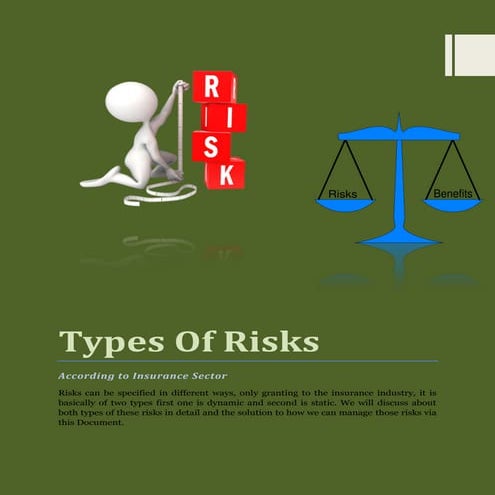 Types Of Risks | PDF | Insurance | Personal Finance
