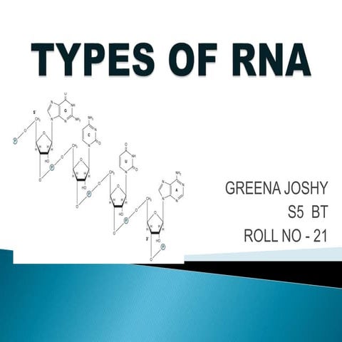 Types of rna | PPTX