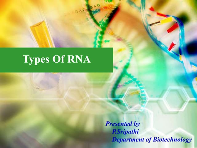 Polycistronic and monocistronic RNA | PPTX