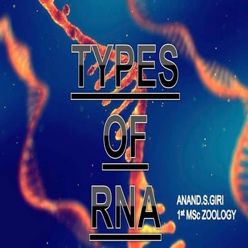 TYPES OF RNA.pptx