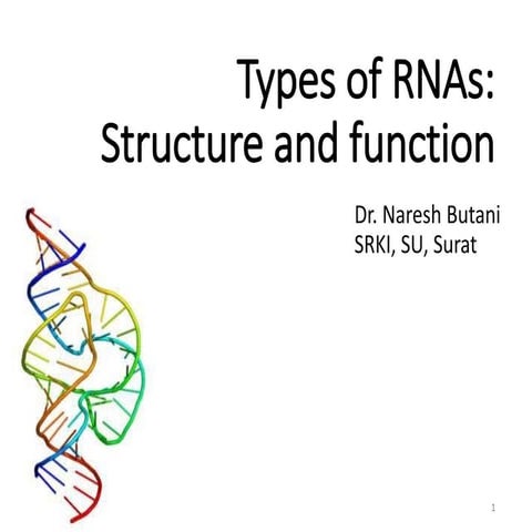 RNA- Structure, Types and Functions | PPTX
