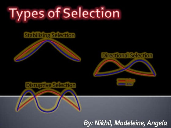 Types of selection | PPTX | Birdwatching | Hobbies & Interests