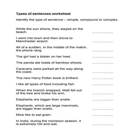 Types of sentences worksheet | DOC