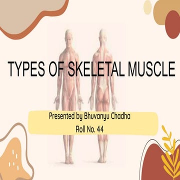Types of Skeletal Muscle Fibers Physiology.pptx