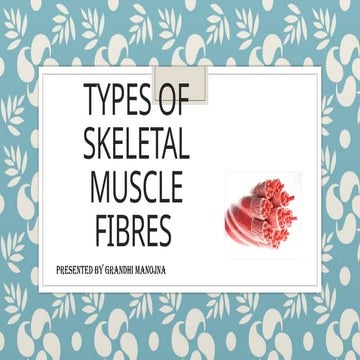 Types of skeletal muscles fibres by G.Manojna | PPT