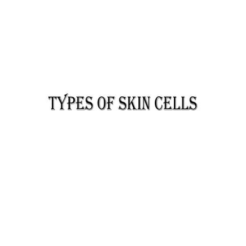Types of skin cells | PPTX