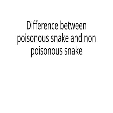 types of snakes and venom details explained | PPTX