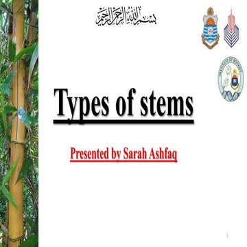 Types of stem by Sarah Ashfaq , Botanist | PPTX