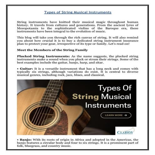 Types of String Musical Instruments and Insurance Plan | PDF