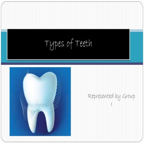 Types of teeth | PPTX