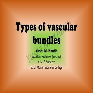 Types of vascular bundles | PPT