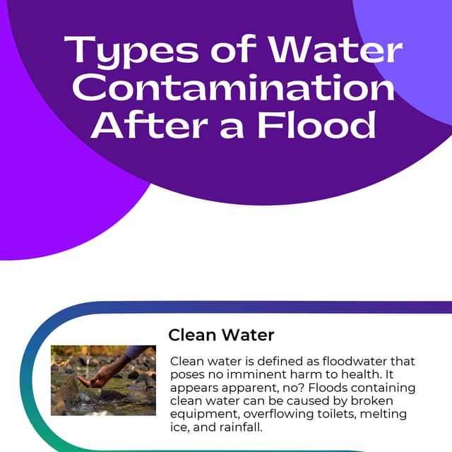 Types of Water Contamination After a Flood.pdf