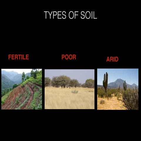 Types soil 4 | PPT