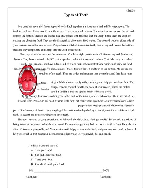 Teeth for Grade 5 | PPT | Dental Health | Diseases and Conditions