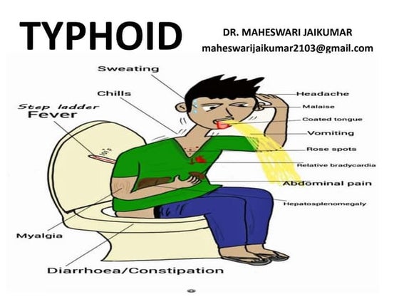 Enteric fever (typhoid fever) | PPT