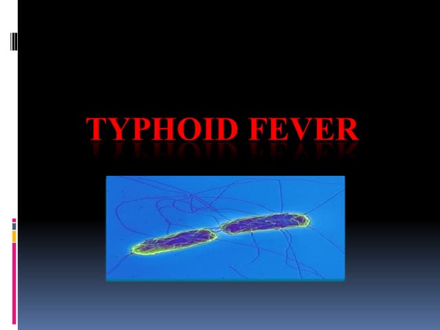 Typhoid fever ppt. | PPTX