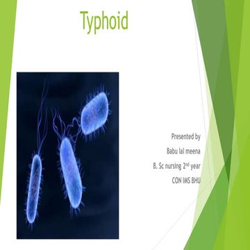 typhoid ️.pdf