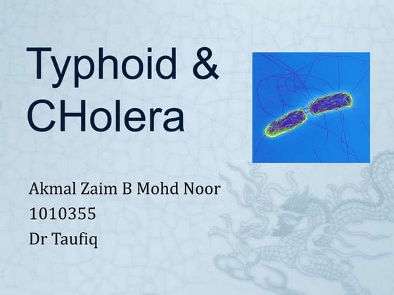 Typhoid | PPT