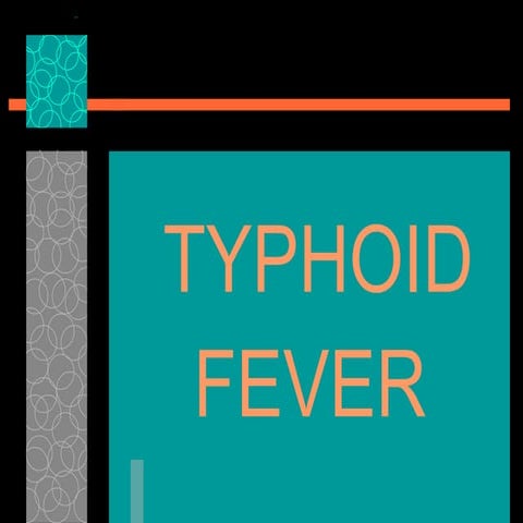 Typhoid fever | PPT