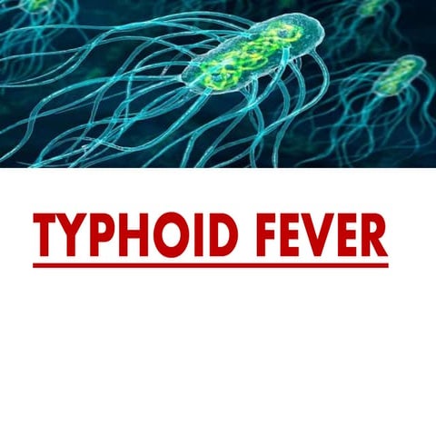 Typhoid fever | PPTX
