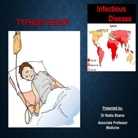 Typhoid fever pathophysiology