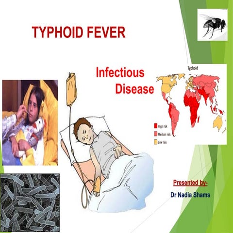 Typhoid | PPTX