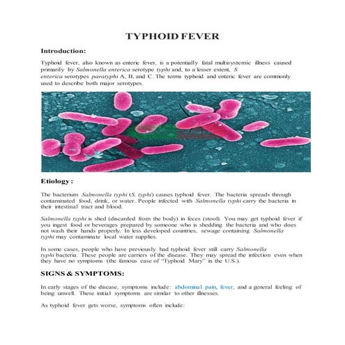 Typhoid fever | DOCX