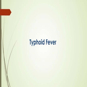 Typhoid fever .ppt