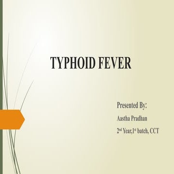 TYPHOID FEVER disease condition overview nursing .pptx