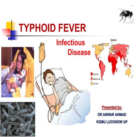 Typhoid fever ppt | PPTX