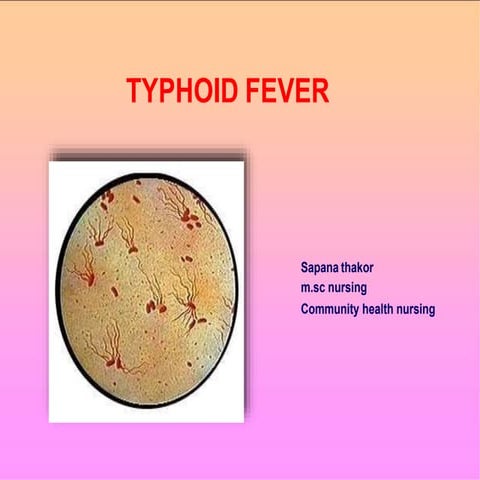 typhoidfeverppt-1812021.......24043.pptx