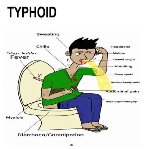 Typhoid Final.pptx