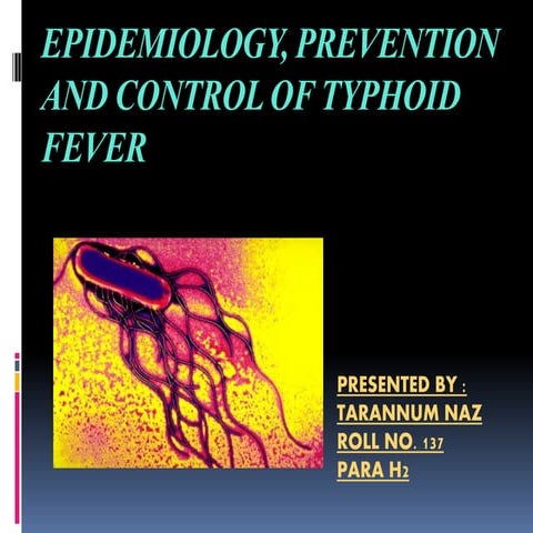 Typhoid | PPTX