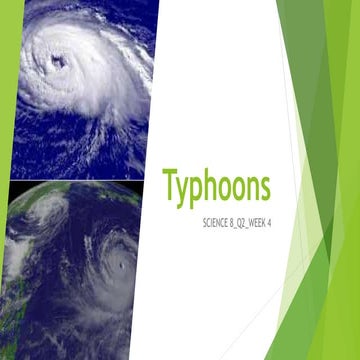 TYPHOONS.pptx